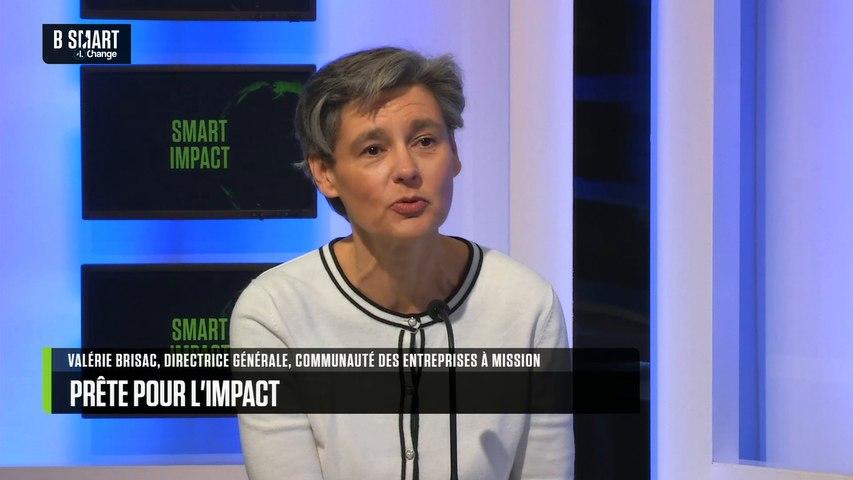 SMART IMPACT - L’entreprise à mission peut-elle devenir le modèle de ...